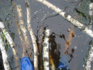 Introduction | DRANCO nv