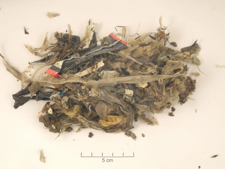 SORDISEP process | DRANCO nv